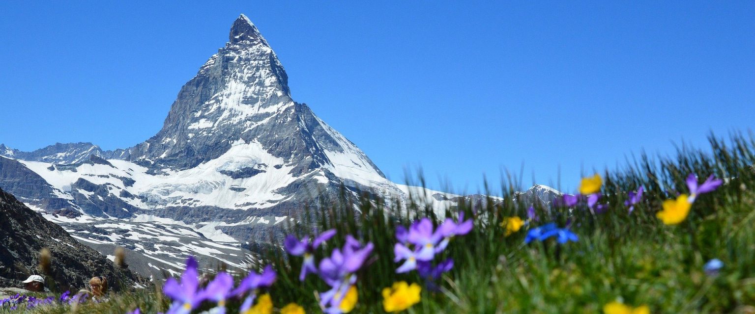 Wallis - Gourmet Classic